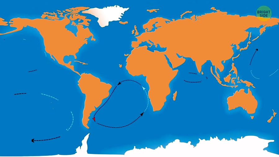Another Bermuda Triangle Has Formed Near Japan