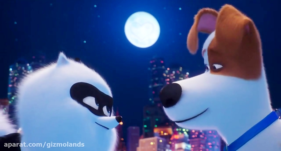 انیمیشن کوتاه Super Gidget 2019