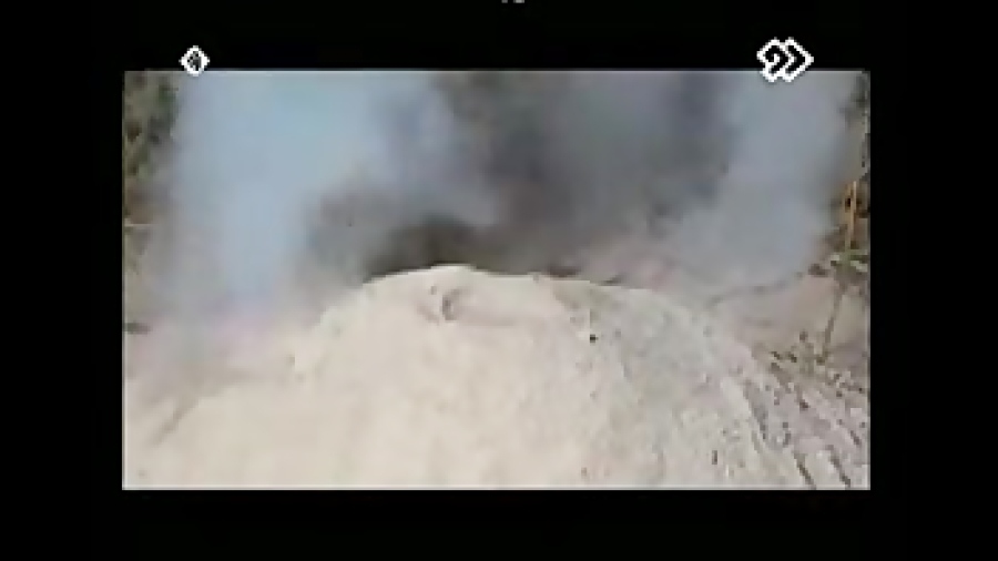 ساختار لانه مورچه