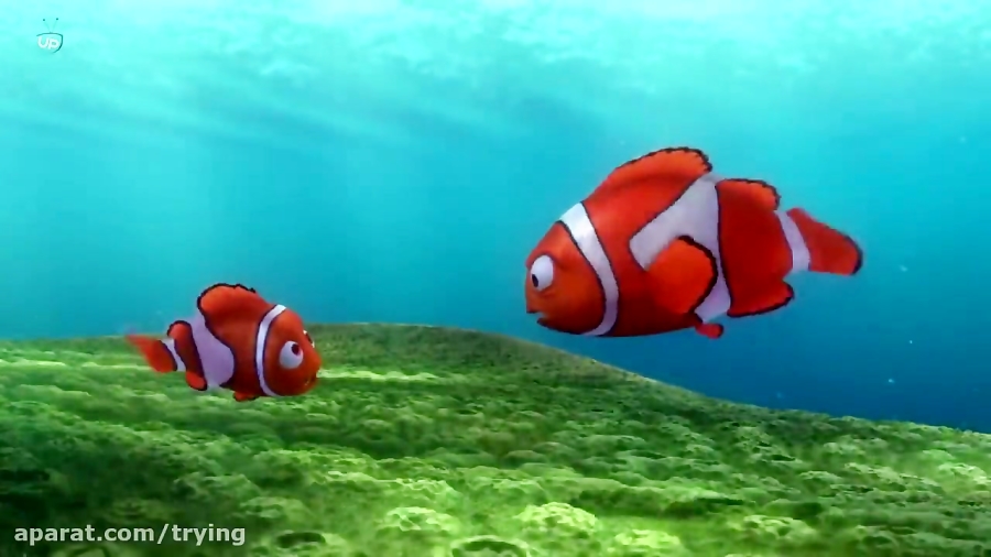 دانلود انیمیشن در جستجوی نمو Finding Nemo با دوبله فارسی
