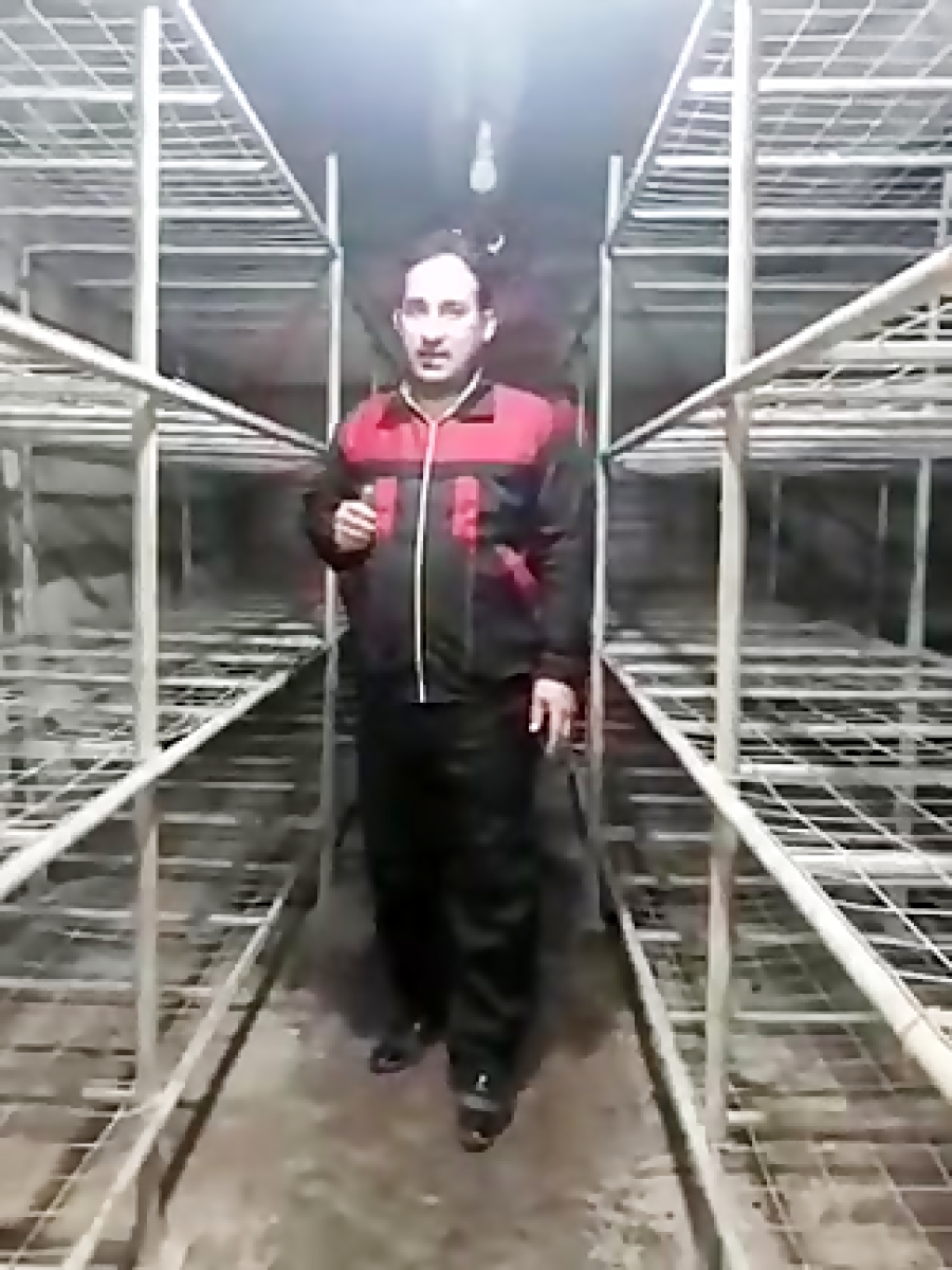 ساخت سالن پرورش قارچ