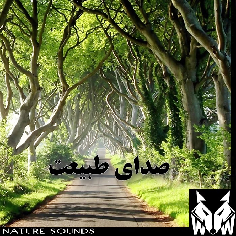 دانلود مجموعه صداهای طبیعت Nature Sounds