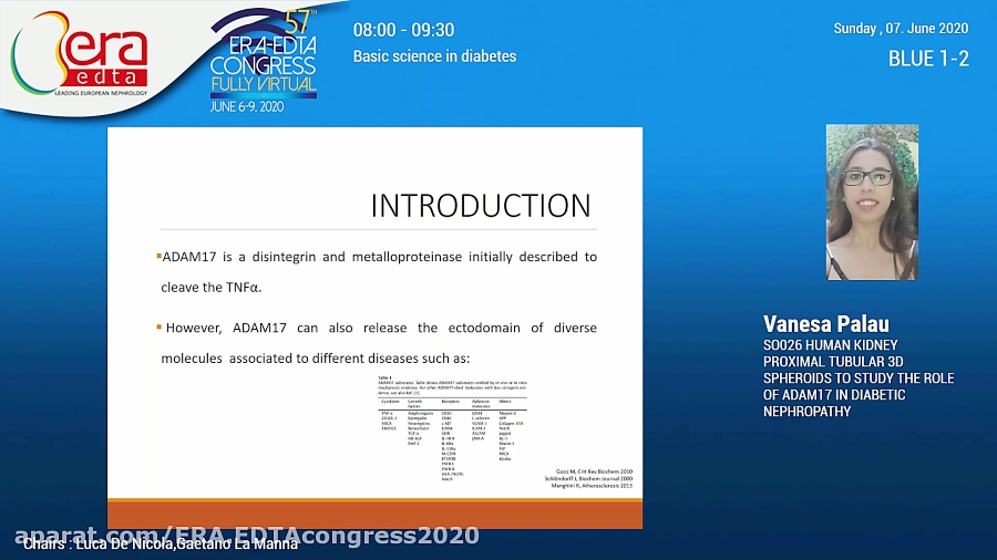 HUMAN KIDNEY PROXIMAL TUBULAR 3D SPHEROIDS TO STUDY