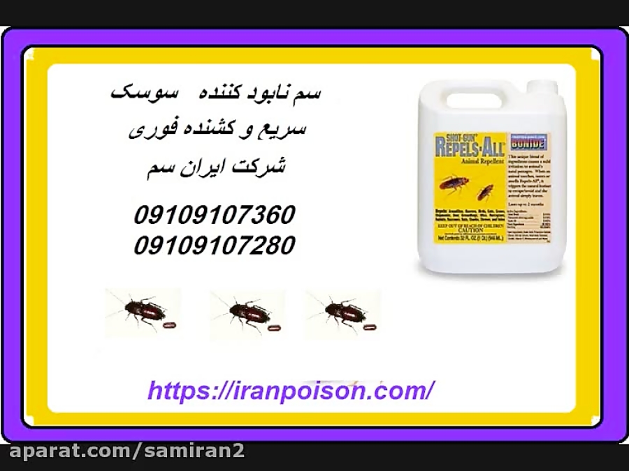 موثرترین سم سوسک کش با قیمتی مناسب