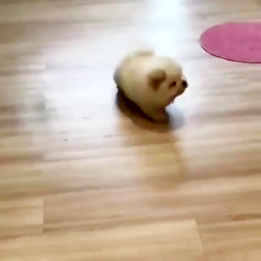 هدیه را باز نکرده پس فرستاد