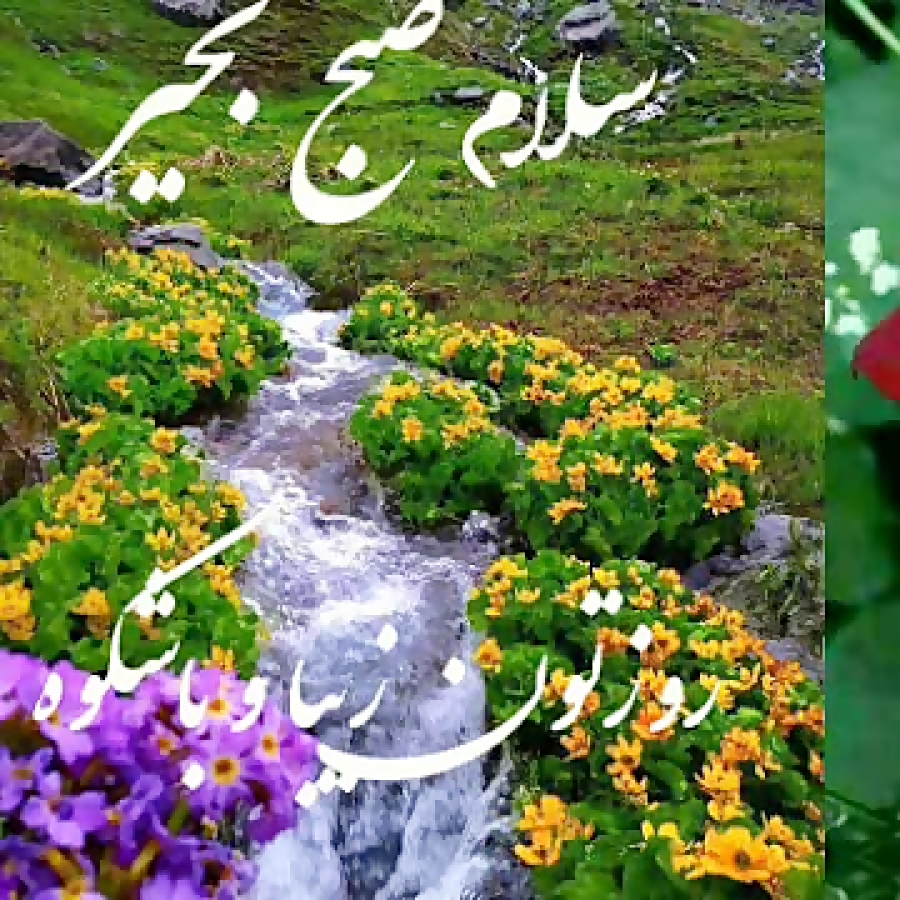 سلام صبح بخیر