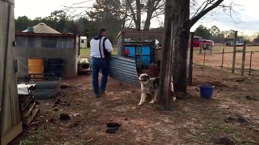 آموزش ساخت لانه مرغ