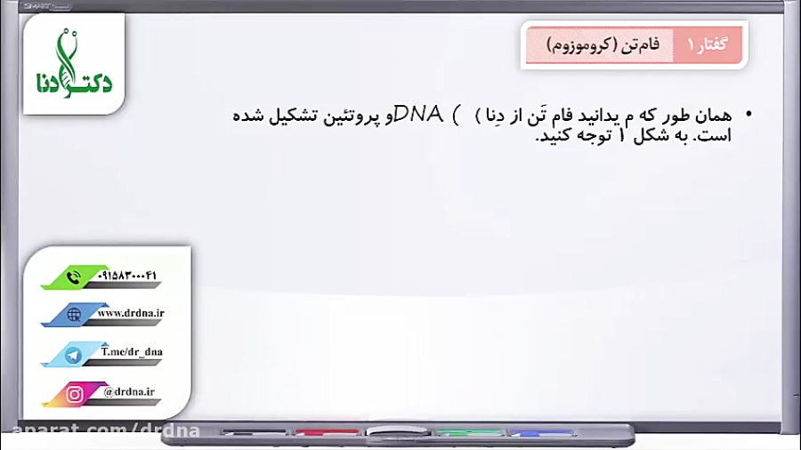فیلم کامل کروموزوم ، گفتار 1 فصل 6 زیست یازدهم