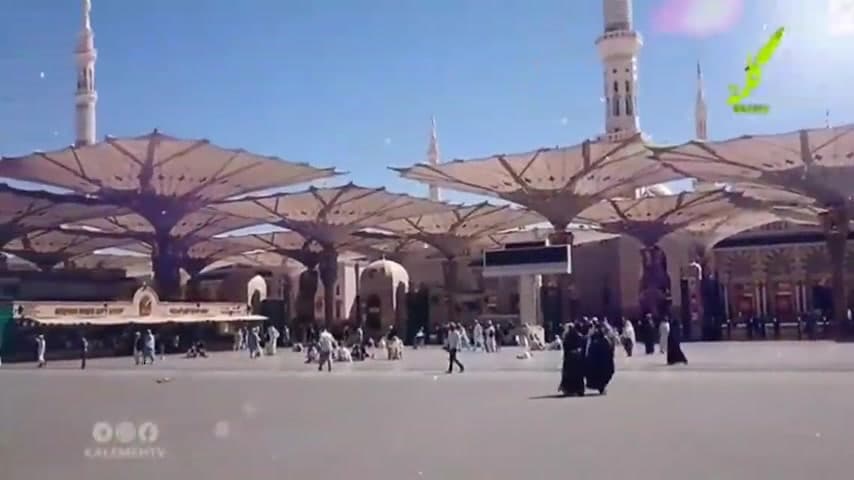 نشید مصطفی مصطفی