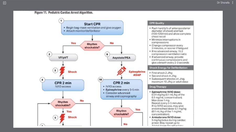 Pediatric Advanced Life Support