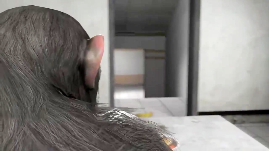 (SCP-096 VS میمون)