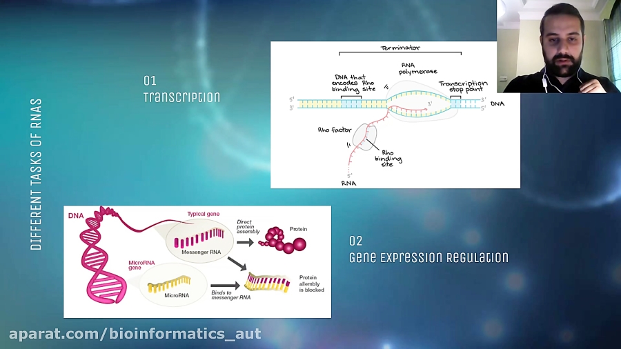 Prediction of microRNA - Disease Association