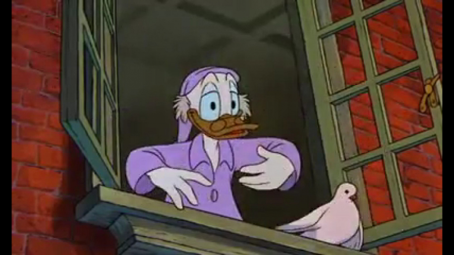 کارتن اسکروچ Scrooch