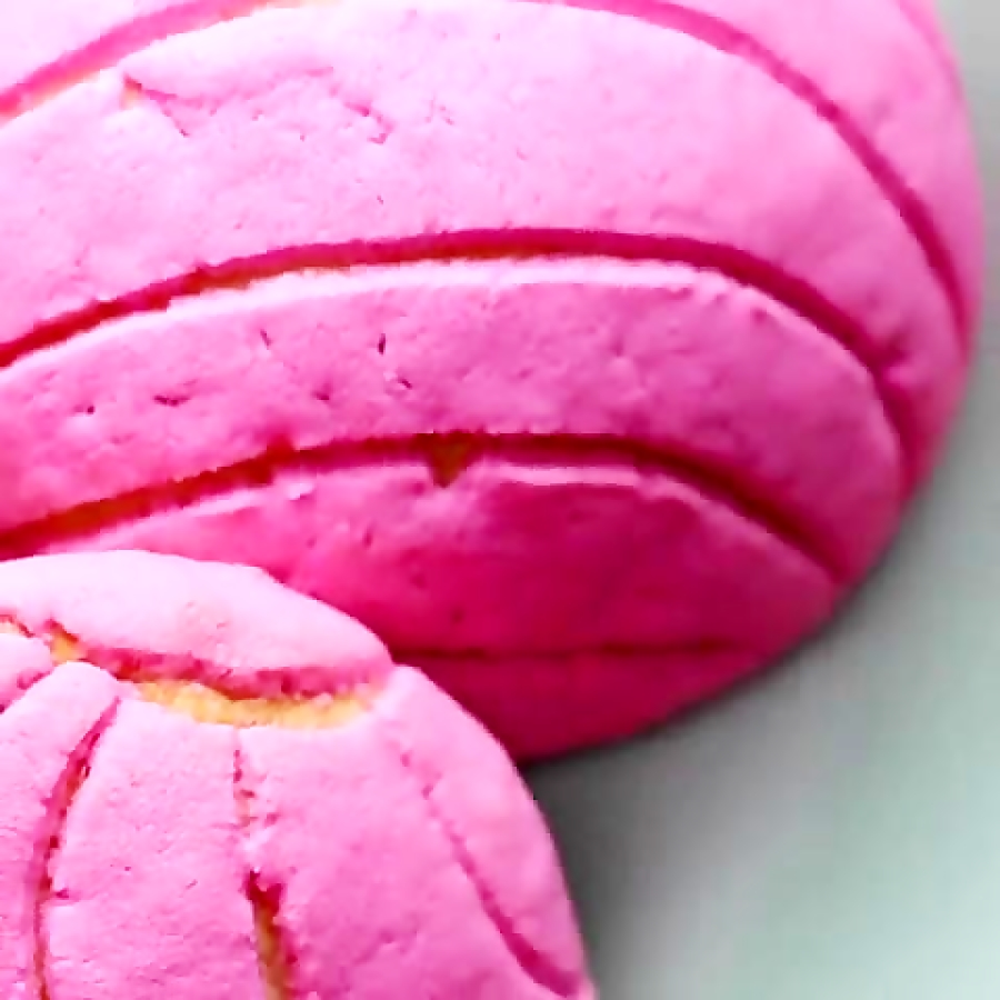 Conchas As Made By Maya