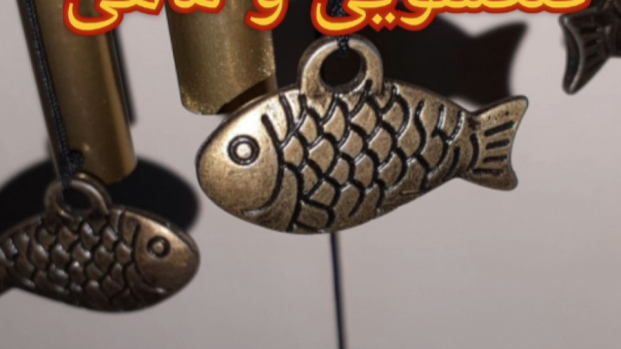 باد زنگ ماهی