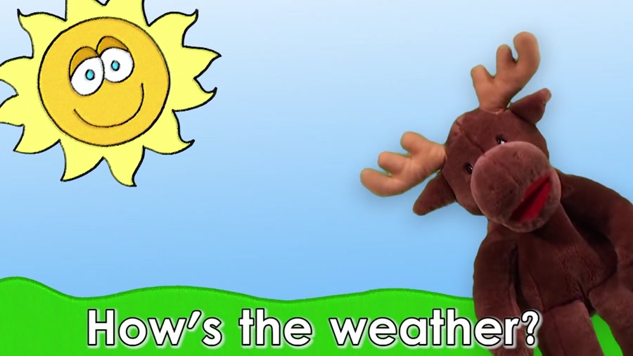 How's the Weather Song