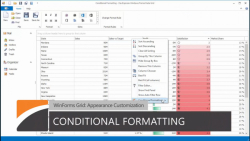 نمونه ای دیگر از Devexpress Fluent Design Form(ویندوز فرم)