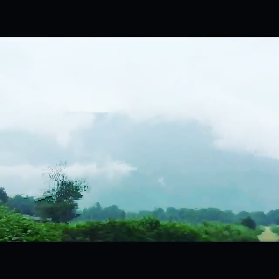 ضیاء الرحمن