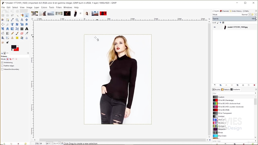 GIMP - Selection Tools - Foreground Select Tool