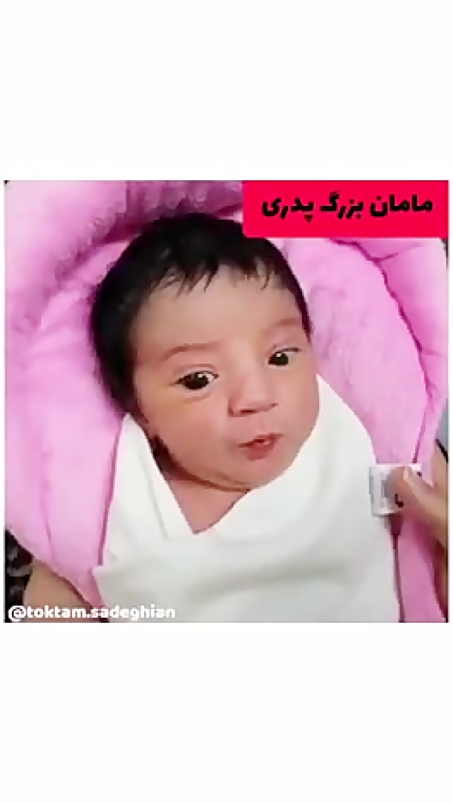 گوز بی موقع