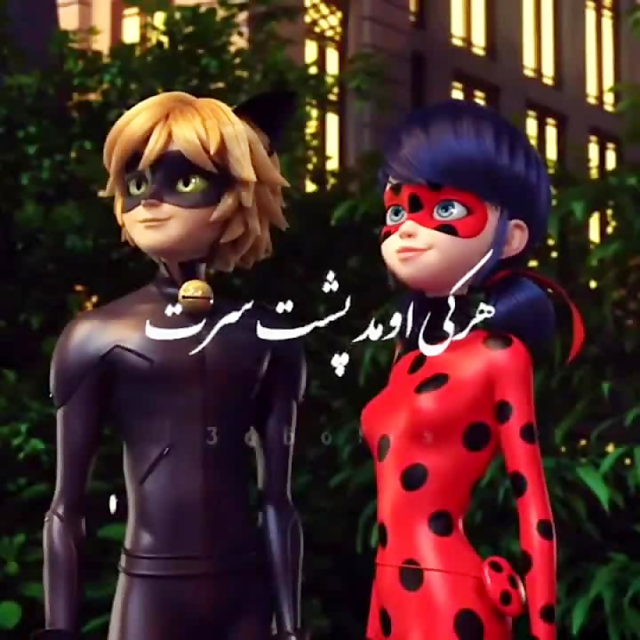 کلیپ دختر کفشدوزکی و گربه سیاه لیدی باگ و کت نوار