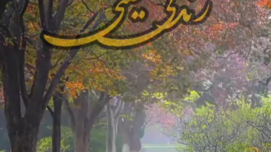 دلنوشته زندگی یعنی