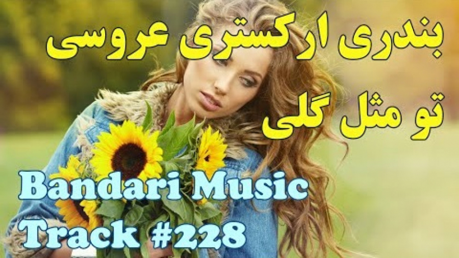 آهنگ شاد بندری تو مثل گلی بندری ارگ عروسی 228
