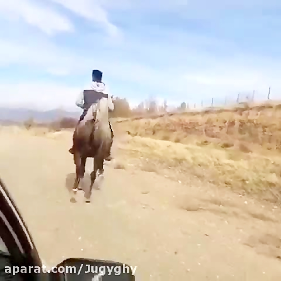 اسب کرد اشکان