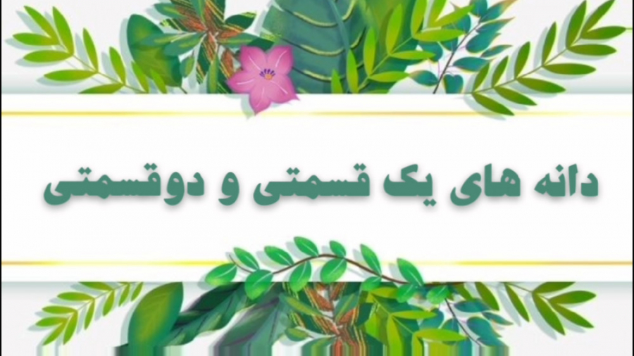 علوم کلاس سوم ، دانه های یک قسمتی و دوقسمتی
