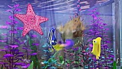 انیمیشن در جستجوی نمو-دوبله فارسی | Finding Nemo 2003