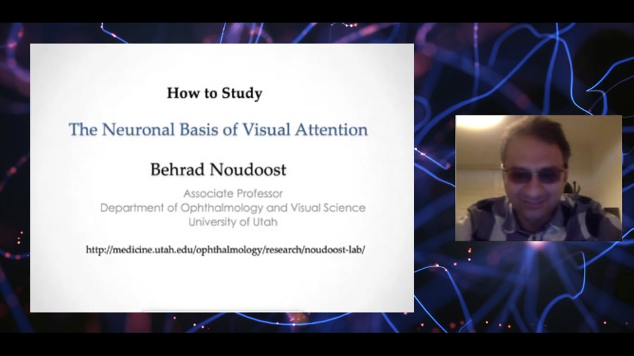 The Neural Basis of Visual Attention