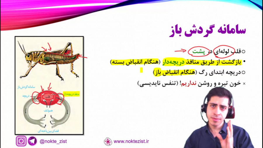 گردش خون باز در ملخ، فصل گردش مواد زیست دهم