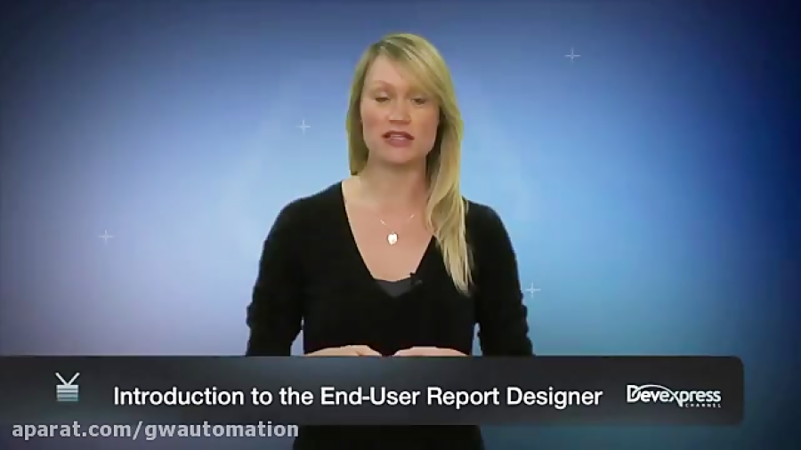 Winforms End User Report Designer
