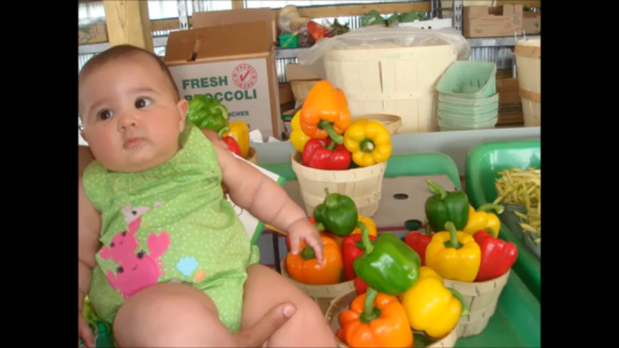 ترانه خشگل کودکانه - آهنگ شاد کودکانه - ترانه کودکانه