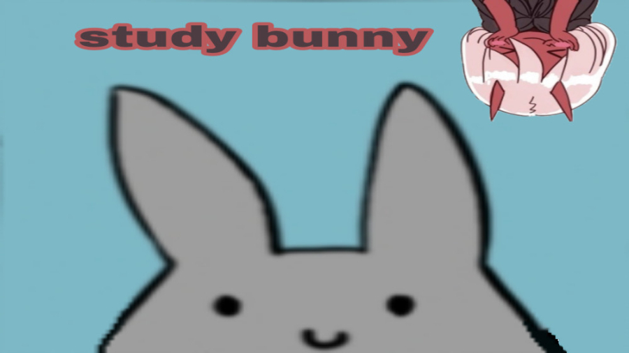 اموزش کار با برنامه study bunny