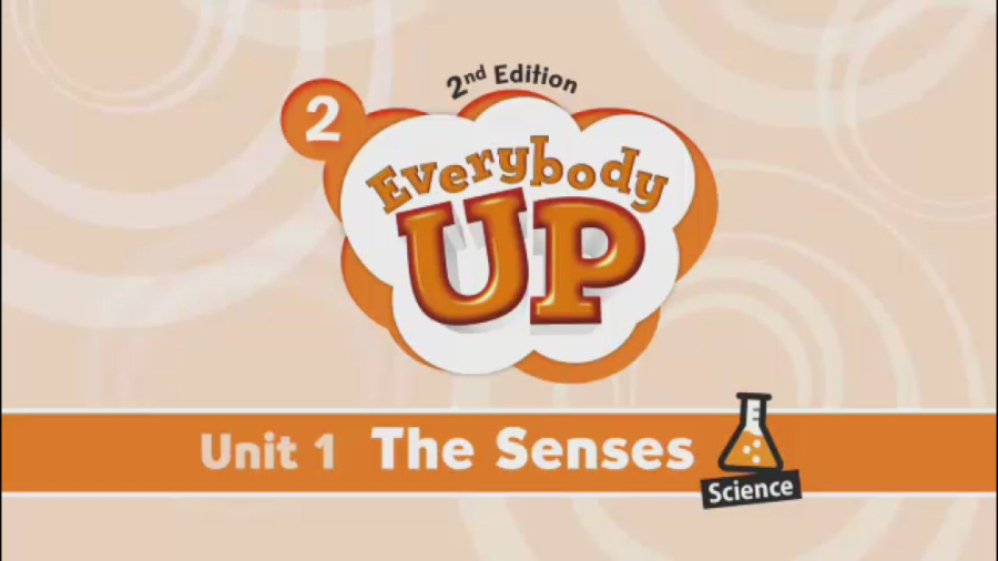 Everybody Up 2 Unit 1 Senses Video
