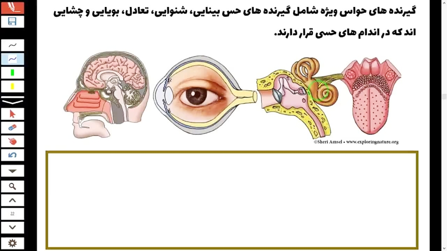 فیلم تدریس کامل چشم و تمام نکات کنکوری زیست یازدهم فصل 2 مهدی محمد حسین
