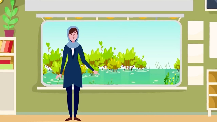 گردشگران و تالاب ها