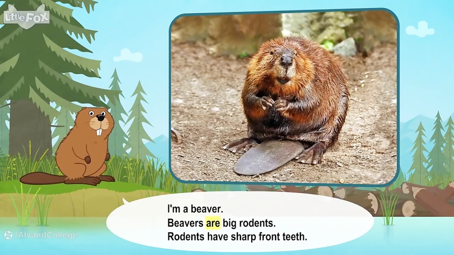 Meet the Animals 25- Beaver - Level 2 - By Little Fox