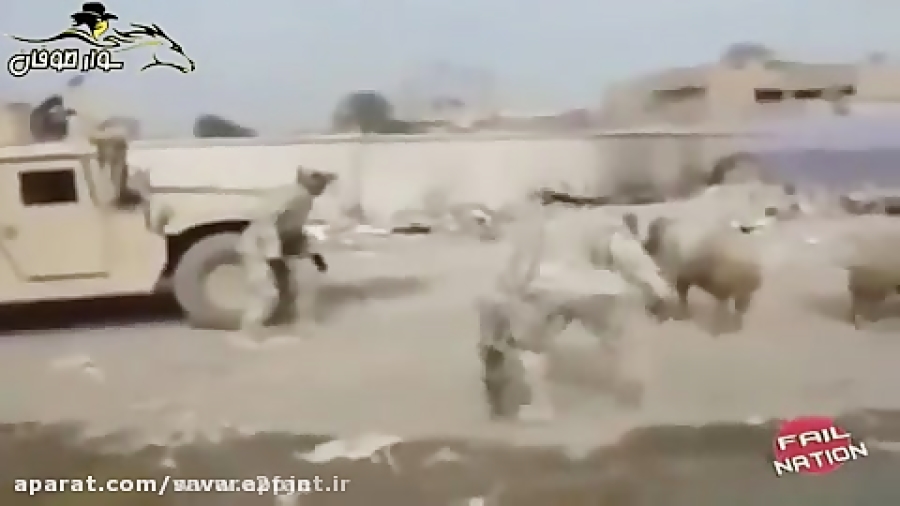 حمله و درگیری گوسفند شجاع با سربازان امریکایی