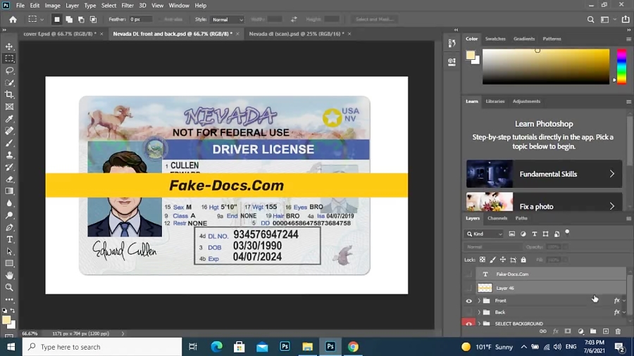 NEVADA DRIVER LICENSE PSD TEMPLATE