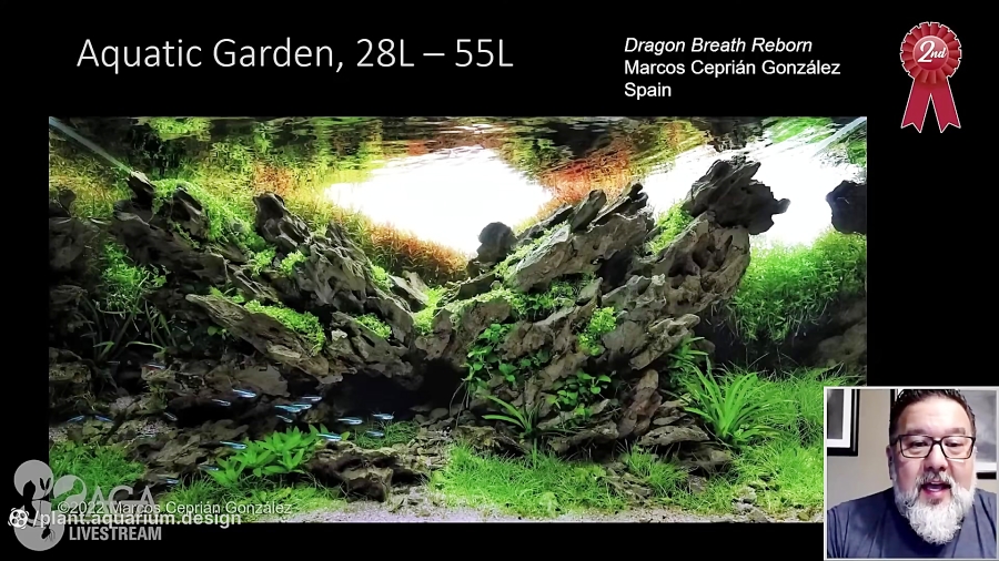 AGA 2022 Aquascaping Contest Winner