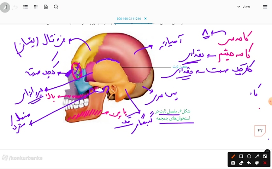 تحلیل شکل های کتاب زیست یازدهم فصل سوم ق۱ استاد آرین