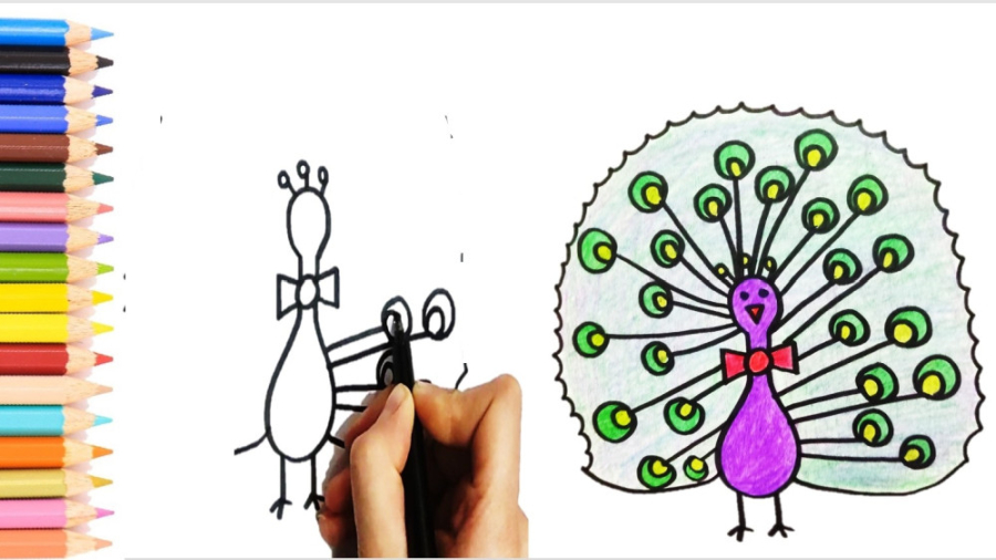 نقاشی طاووس|اموزش نقاشی طاووس|نقاشی ساده برای بچه ها