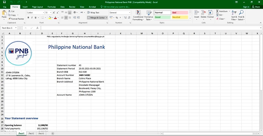 PHILIPPINES NATIONAL BANK (PNB) PROOF OF ADDRESS BANK STATEMENT TEMPLATE