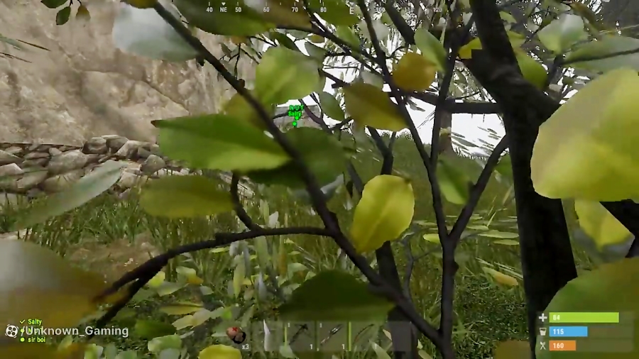 Game Play Rust | Welyn Season #2 Part #1