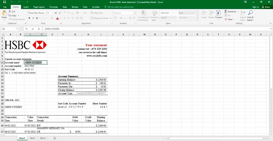 BRUNEI HSBC BANK STATEMENT EXCEL AND PDF TEMPLATE, FULLY EDITABLE (AUTOSUM)