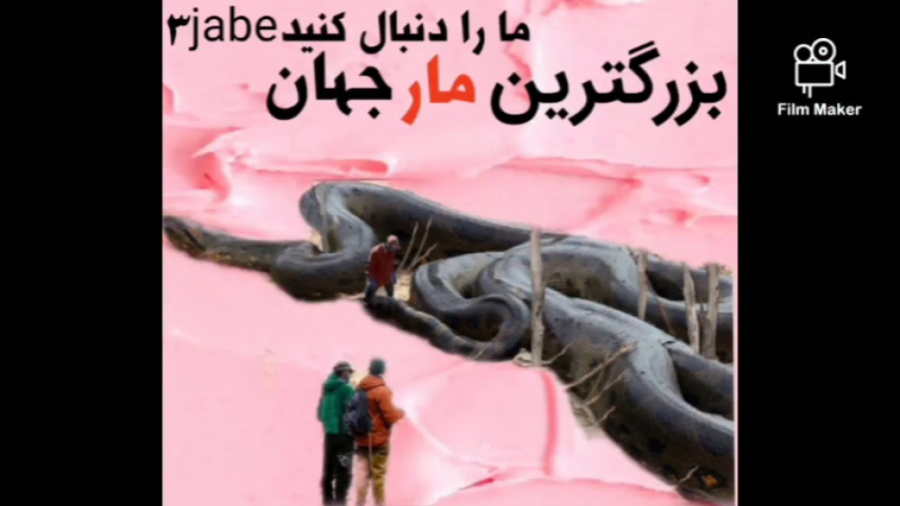 بزرگترین مار جهان