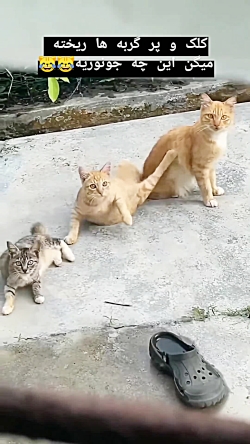 How to draw a reporter cute and easy | Cartoon reporter drawing step by ...