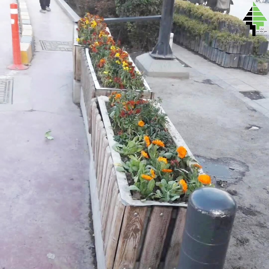 گوشه ای از اقدامات شرکت سبز صفه تمیز در آماده سازی شهرها در نوروز 1402